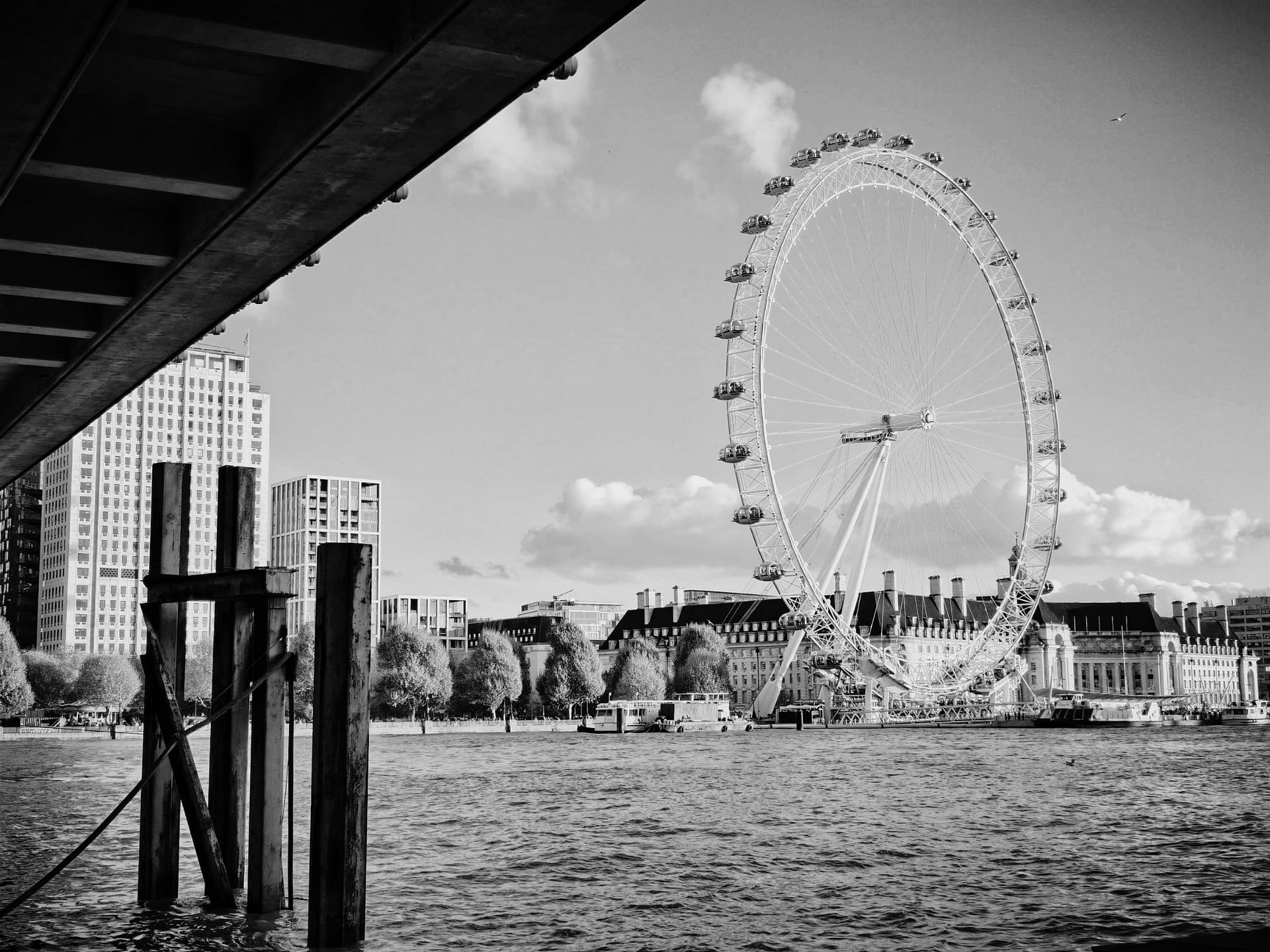 The Evolution Digest - Issue #43 - Evolution Partners