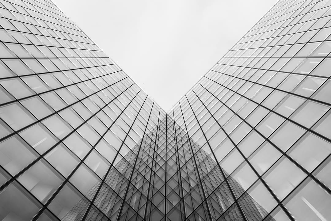 The Evolution Digest - Issue #2 - Evolution Partners