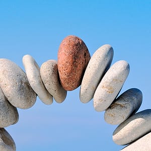 Home - Evolution Partners