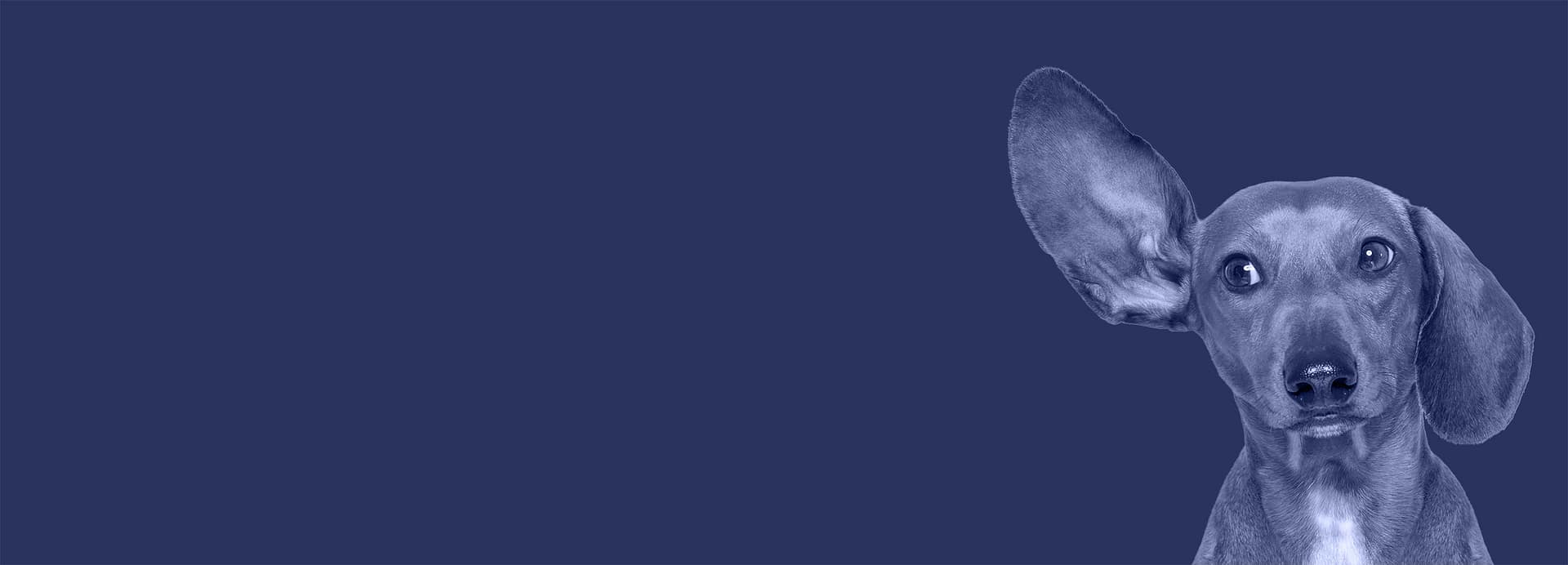 Life at EP with Alexandra, Emily and Sita - Evolution Partners