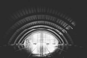 The Evolution Digest - Issue #7 - Evolution Partners