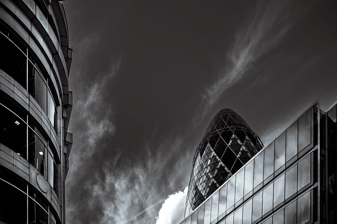 The Evolution Digest - Issue #10 - Evolution Partners