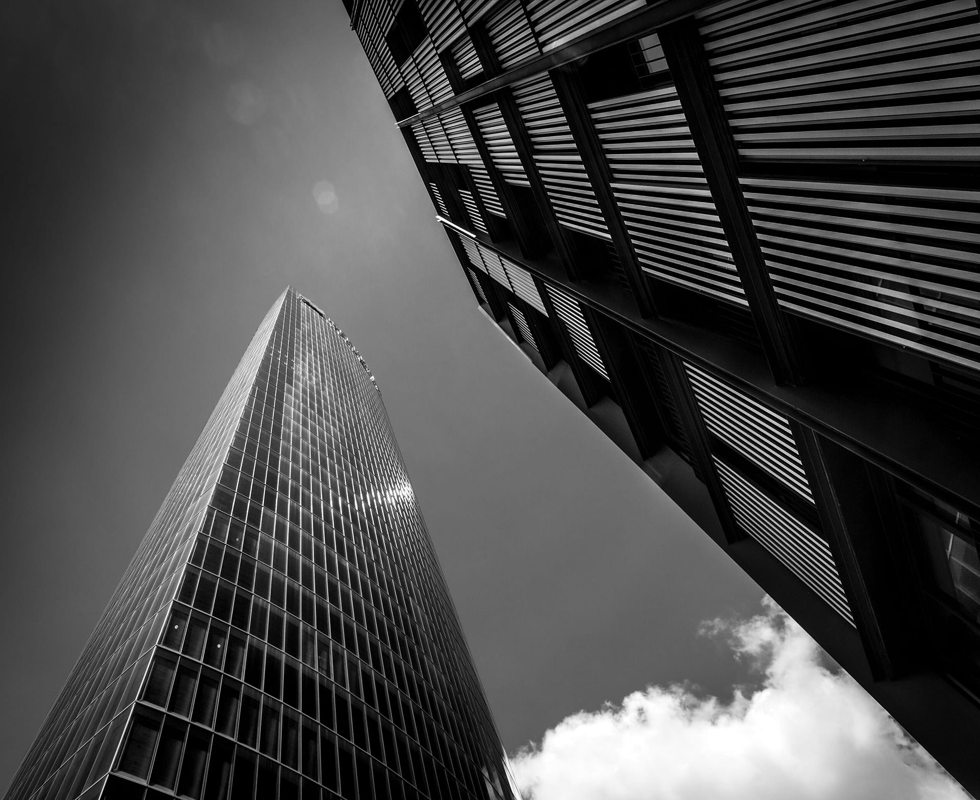 The Evolution Digest - Issue #9 - Evolution Partners