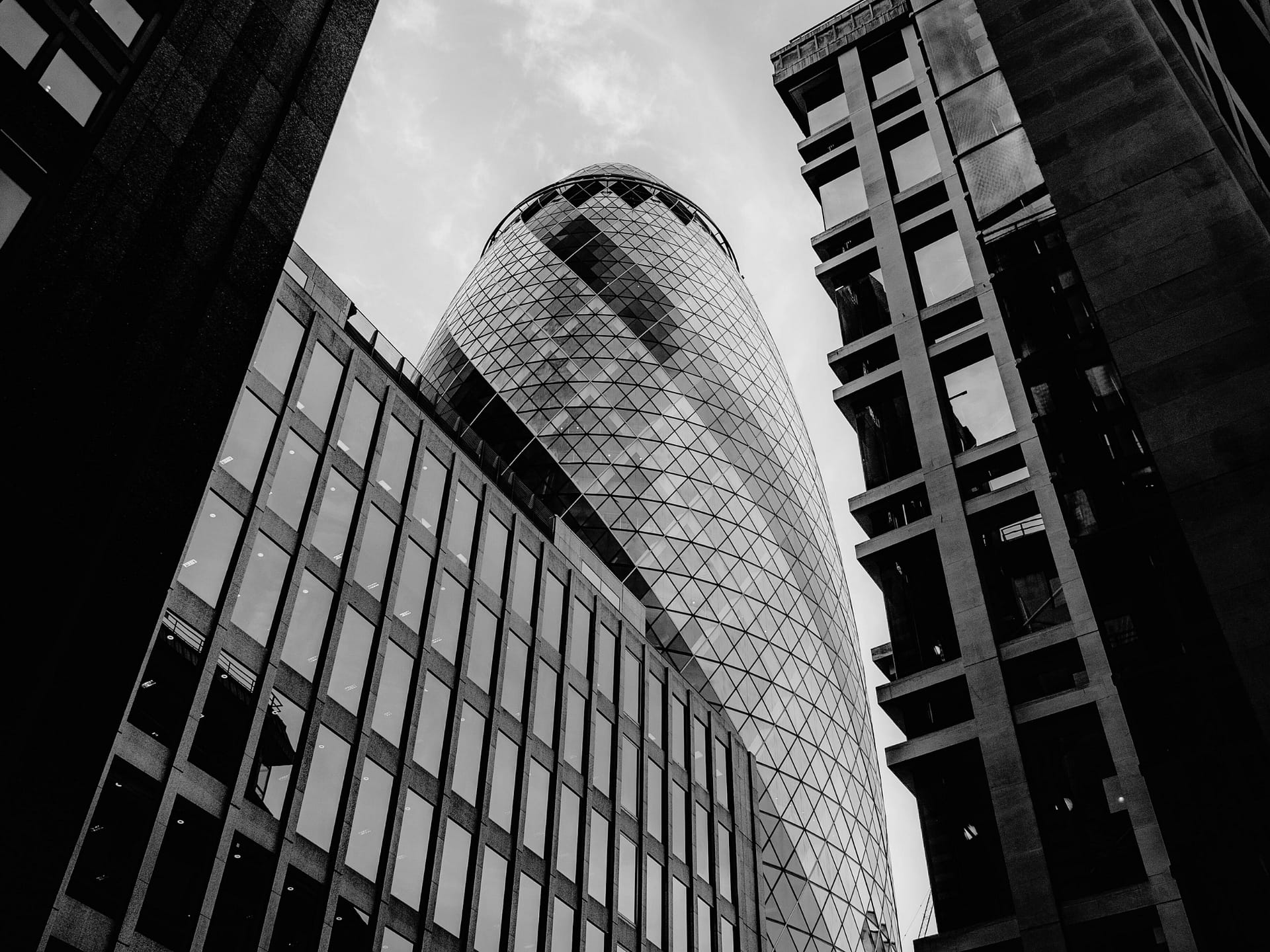 The Evolution Digest - Issue #21 - Evolution Partners