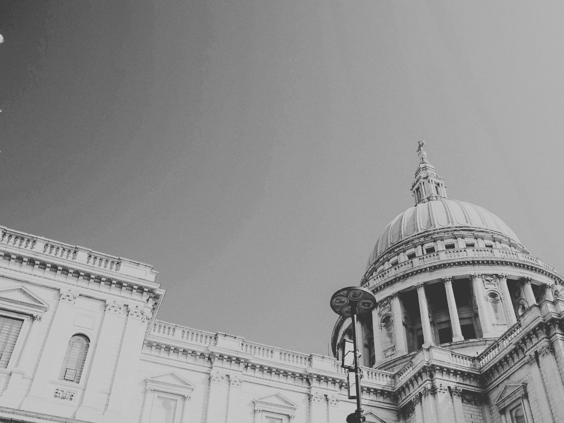 The Evolution Digest - Issue #25 - Evolution Partners