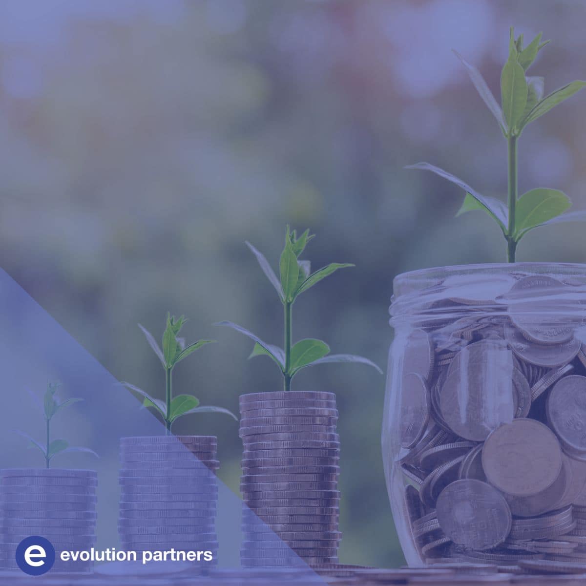 Evolution Partners' ESG Roadmap - Evolution Partners